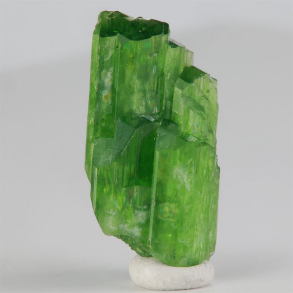 23.81ct Vibrant Green Tremolite Crystal From Tanzania - Mineral Mike