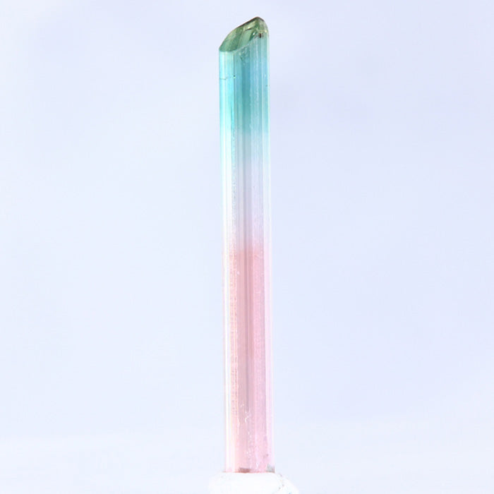 8.59ct Tall Tri Color Pastel Tourmaline Crystal - Mineral Mike