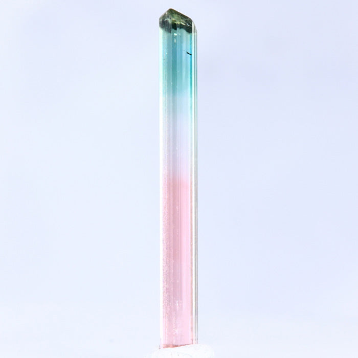 8.59ct Tall Tri Color Pastel Tourmaline Crystal - Mineral Mike