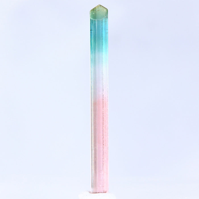 8.59ct Tall Tri Color Pastel Tourmaline Crystal - Mineral Mike